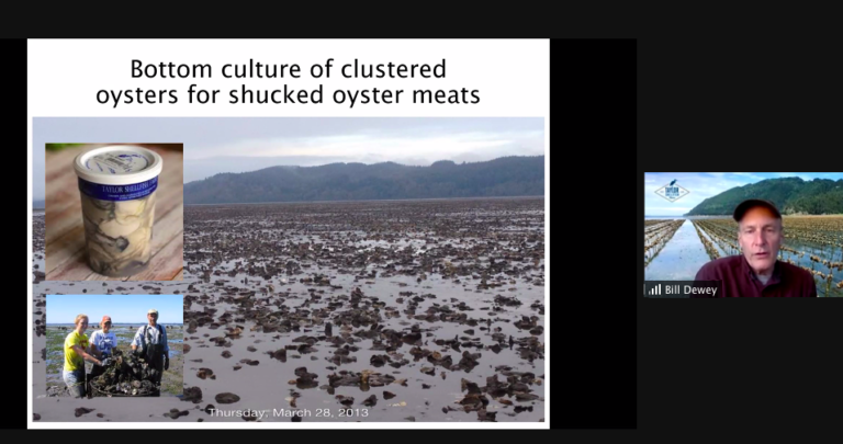 Shellfish Reflect Complex Effects of Climate Change – EarthGen