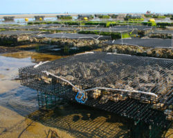 Shellfish Reflect Complex Effects of Climate Change – EarthGen