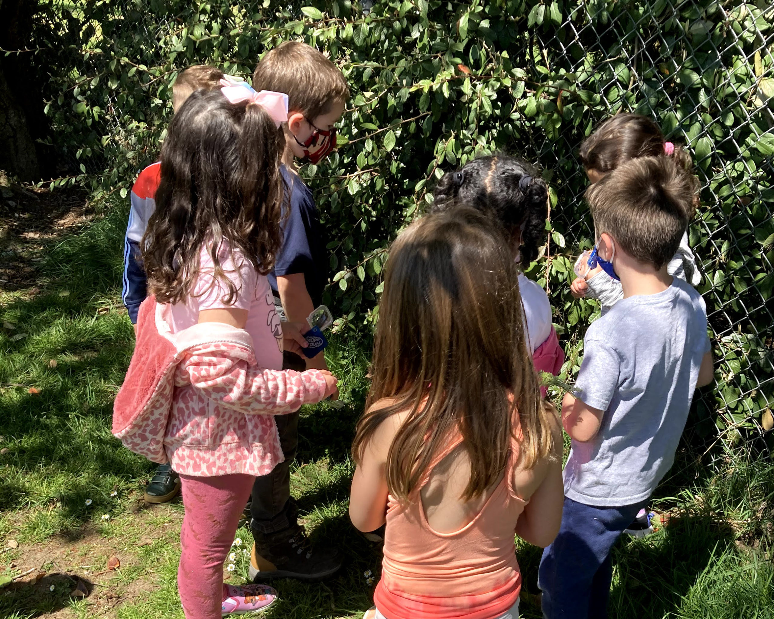 Making Climate Change Accessible to Young Learners – EarthGen